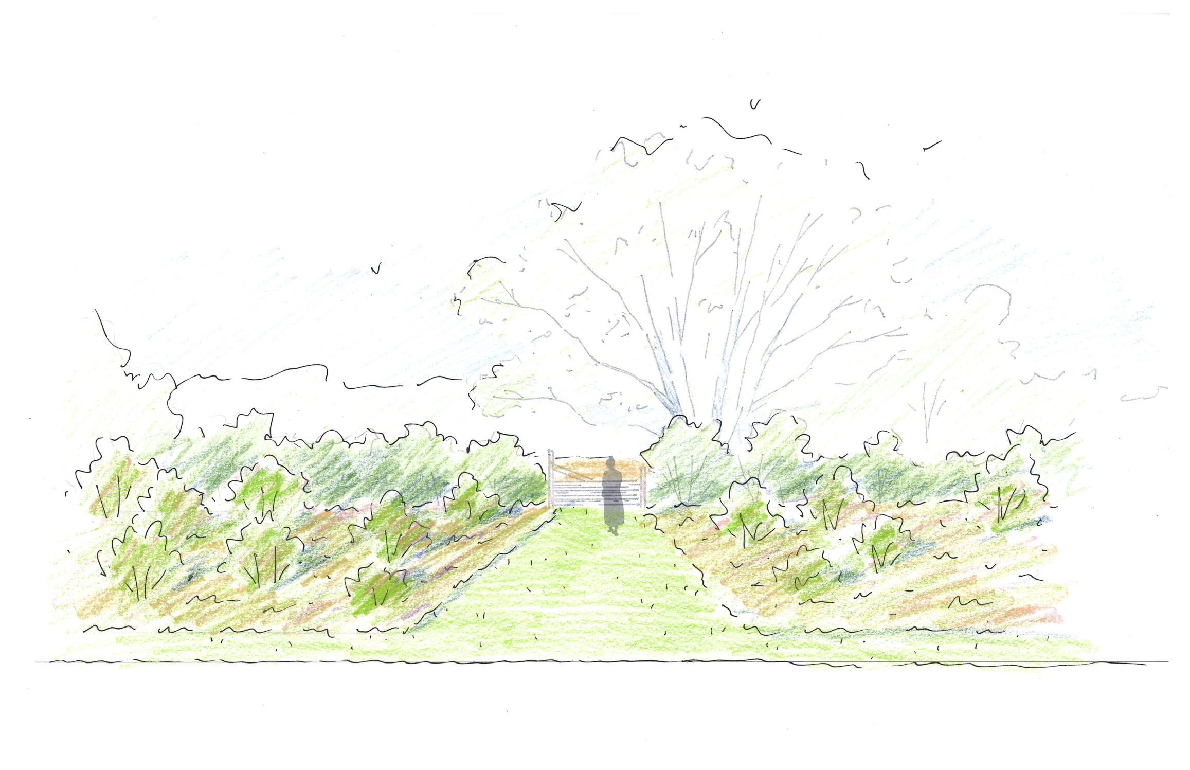 Serenity Farm - Design Outside